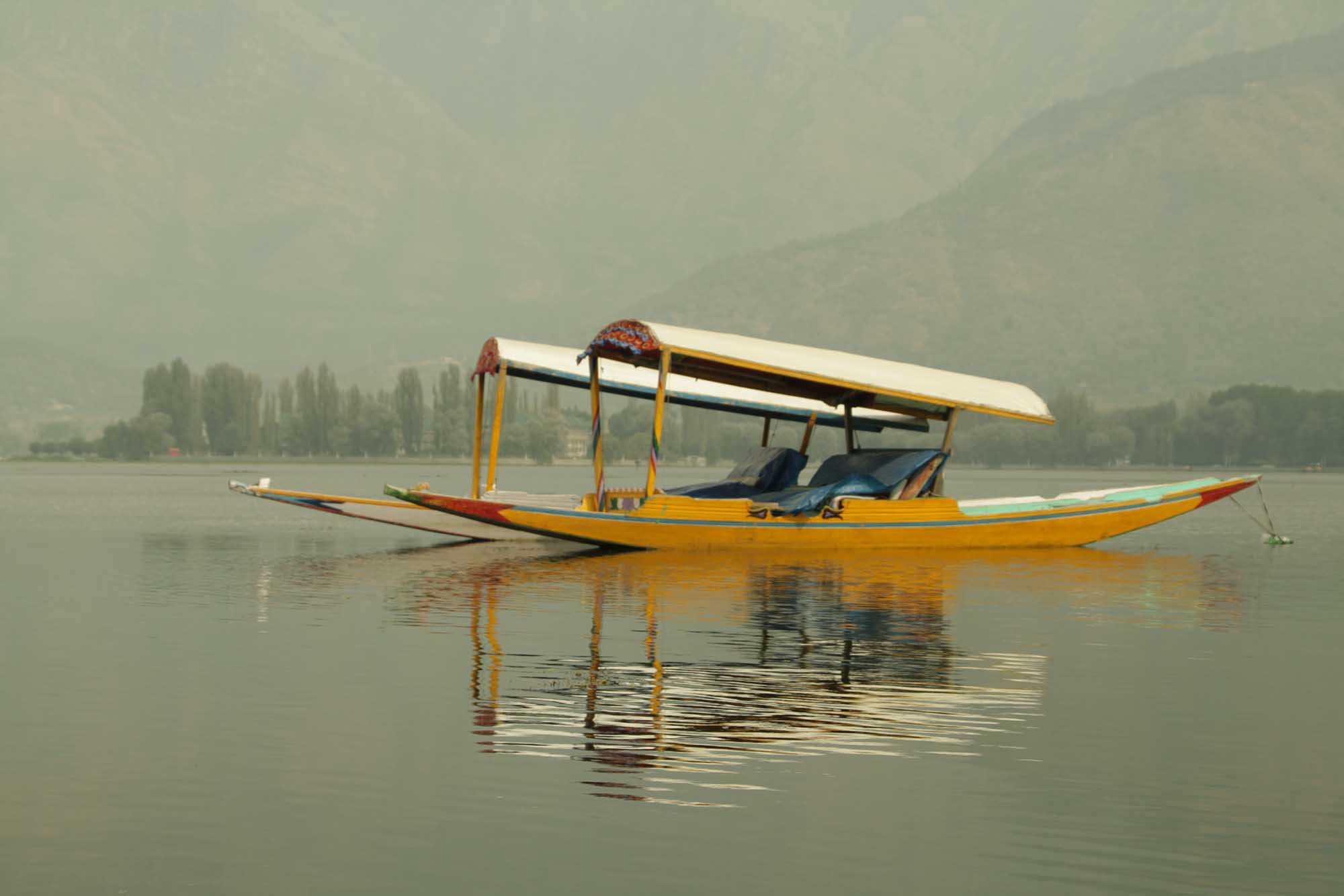 Unforgettable Shikara Rides in Kashmir
